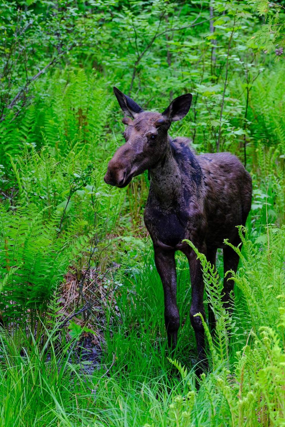 May 26, 2024 – New England Outdoor Center