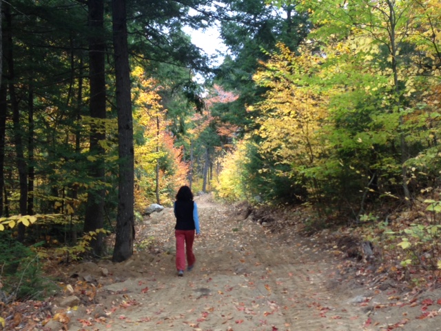 New XC-Ski and Mountain Bike Trail Development at NEOC – New England ...